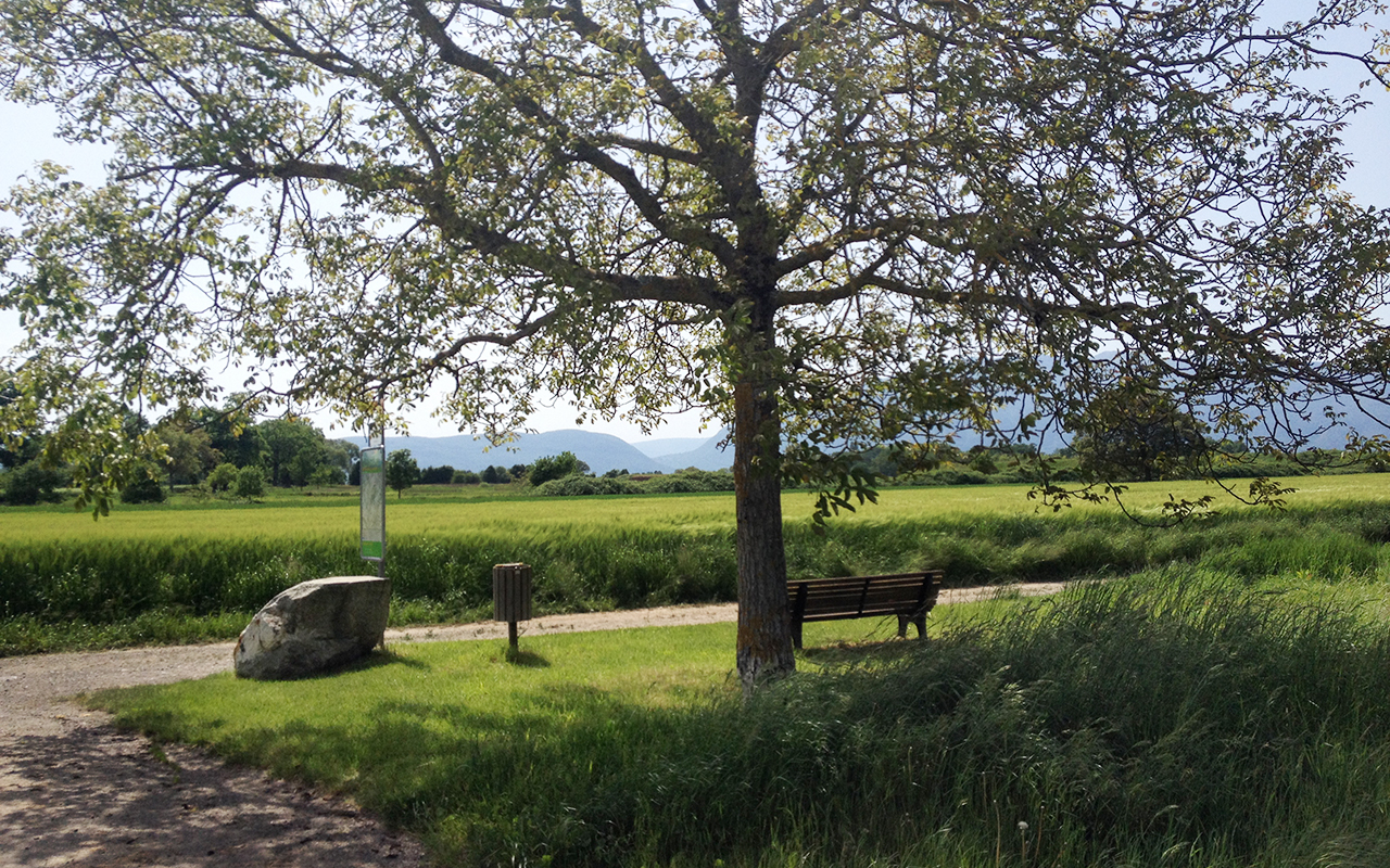 Mairie de Soral | Bienvenu dans notre commune